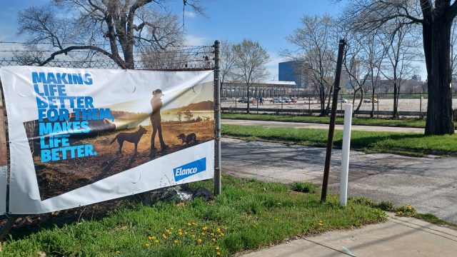 Elanco $100M Investment ‘Transformational’ – Inside INdiana Business