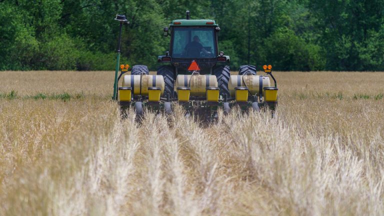 Indiana farmers adopting cover crop usage – Inside INdiana Business