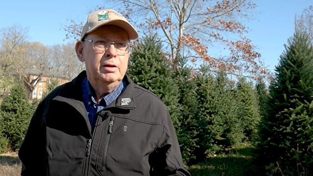 Christmas tree prices increasing this year – Inside INdiana Business