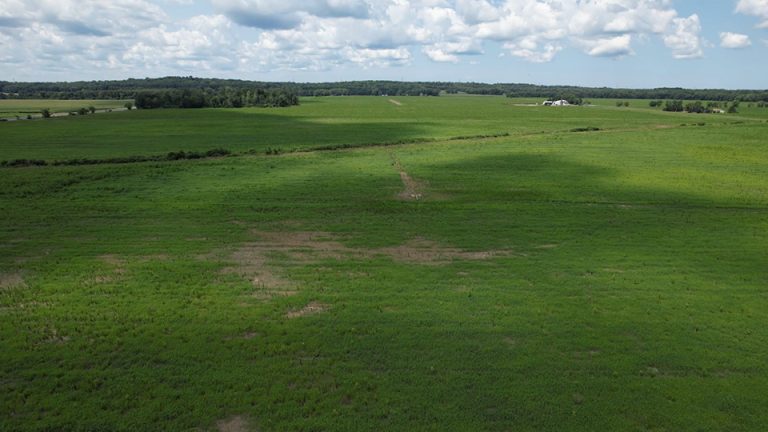 Another major employer exploring New Carlisle as development area ...