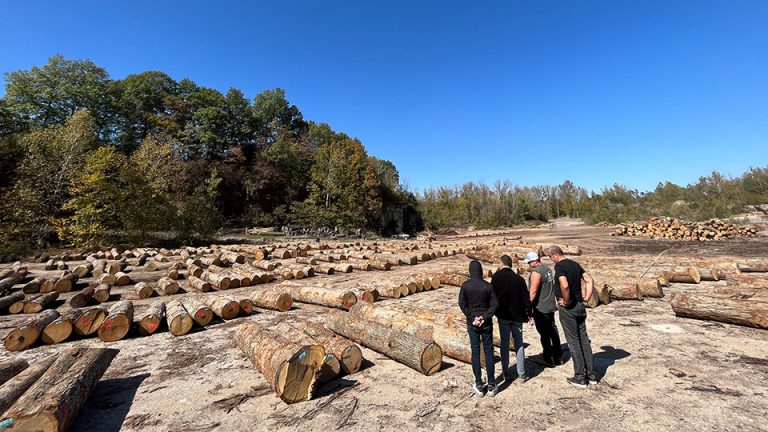 Turkish delegation visit spotlights Indiana’s hardwood sector – Inside ...