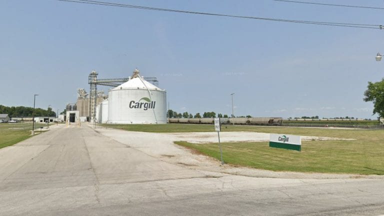 Cargill lays off 5% of its workforce, impacting thousands of employees ...