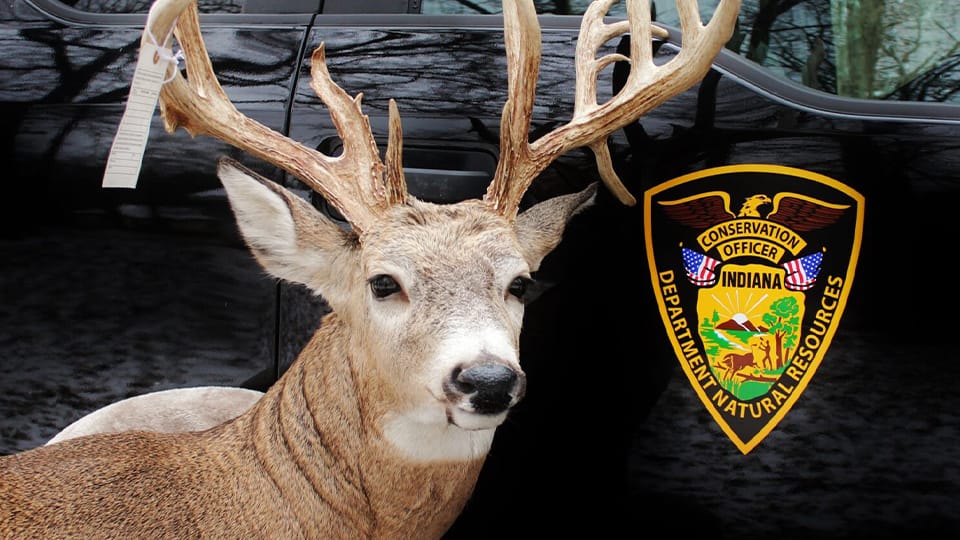Poacher-reporting program racks up tips, pays rewards – Inside INdiana ...