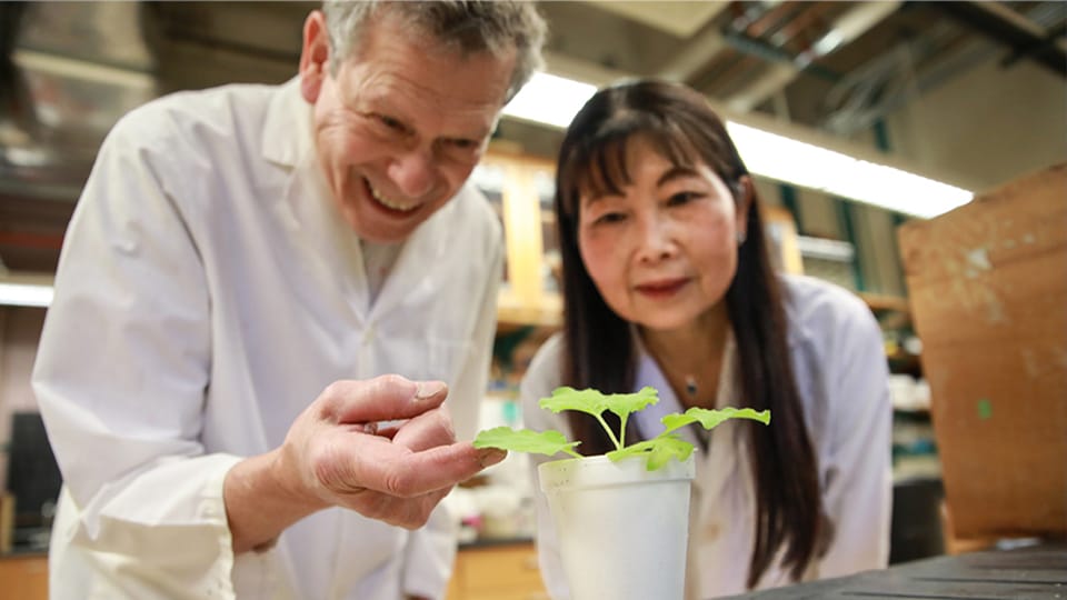 Purdue researchers land Trask Innovation Fund grants – Inside INdiana ...