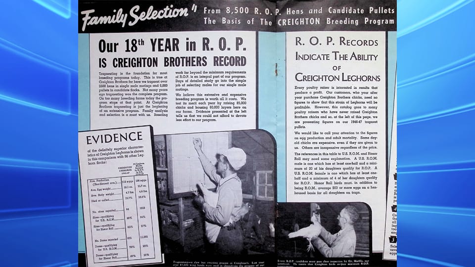 Creighton Brothers marks 100 years in business amid challenging time ...