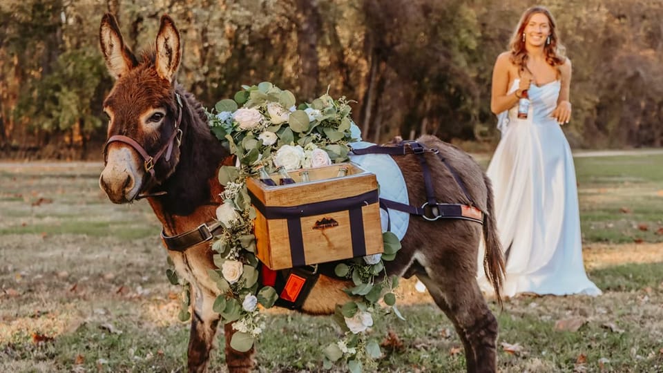 Need a bartender? The Spiked Lil’ Burro delivers drinks, delight in ...