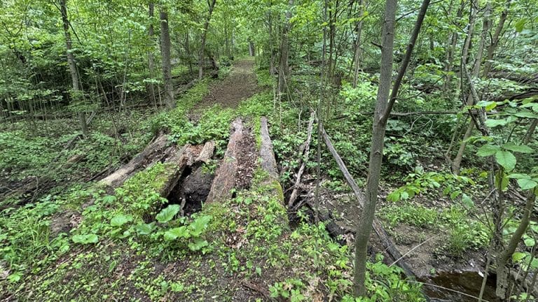 Trine, Angola team up on $4 million trail project – Inside INdiana Business