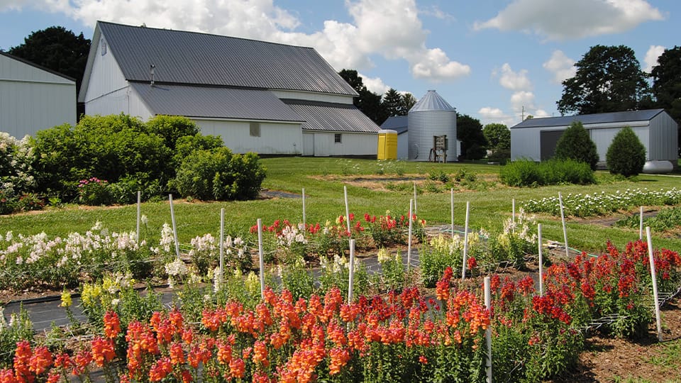 Clinton County farm family honored for rural preservation – Inside ...