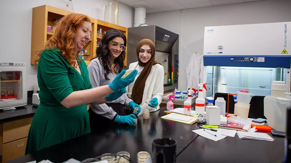IU Northwest professor named USDA fellow – Inside INdiana Business