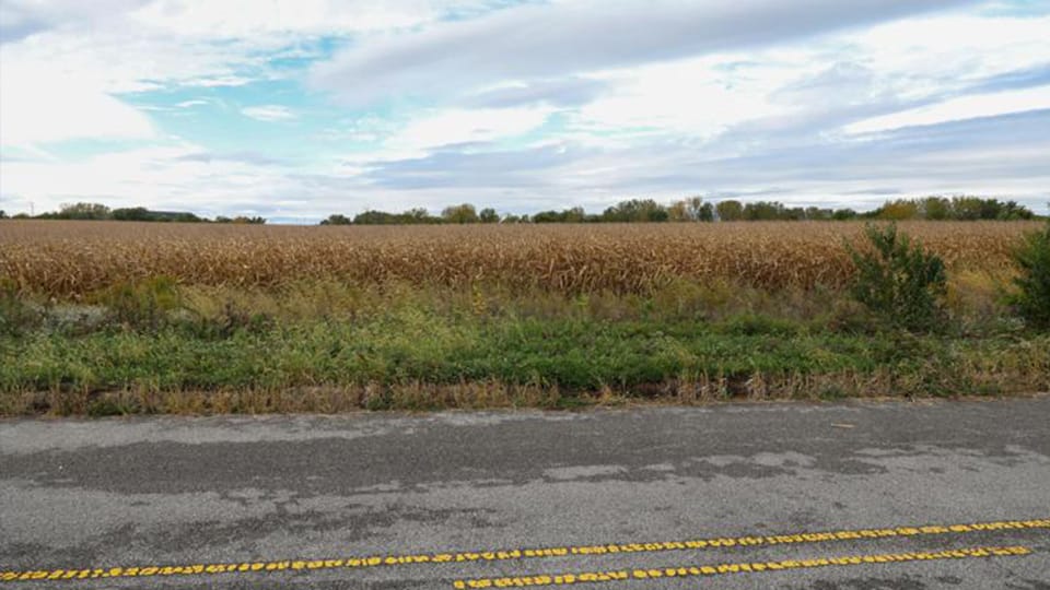 Developer plans $500 million project for Patriot Park in Hobart ...