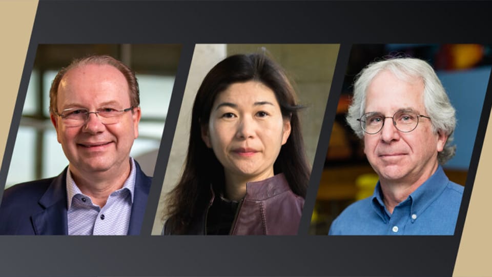 Purdue professors named to National Academy of Inventors – Inside ...